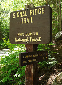 Mount Carrigain Mt Carrigain 4,700 4700 feet, Hike Mount Carrigain ...