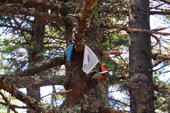 Hike Mount Ellen Warren Vermont 4000 footers 4,083 feet Hiking mt ellen