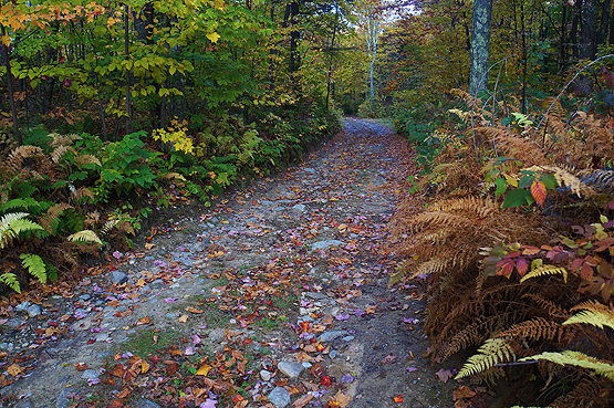 Hike Mendon Peak 3,840 feet Mendon Killington Vermont, New England ...