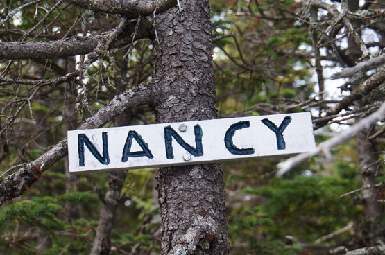 Hike Mount Nancy New England Hundred Highest hiking list NH