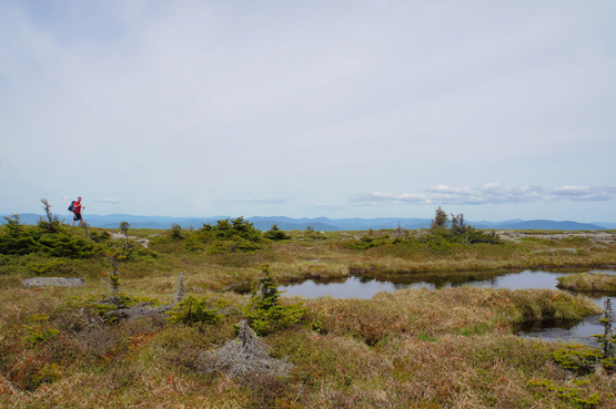 Hike Saddleback Mountain Maine 4000 footers