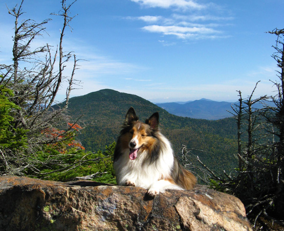 Mount Whiteface Mt Whiteface 4,019 feet NH New Hampshire 4000 Footers ...